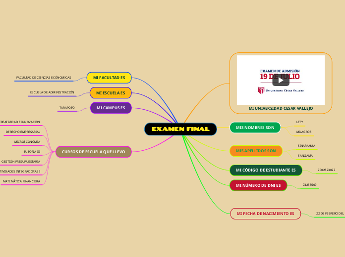 EXAMEN FINAL - Mind Map